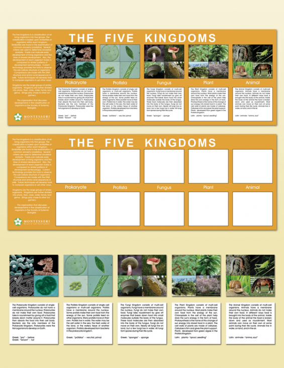 The Five Kingdoms Chart Montessori Printable Montessori Science - Riset